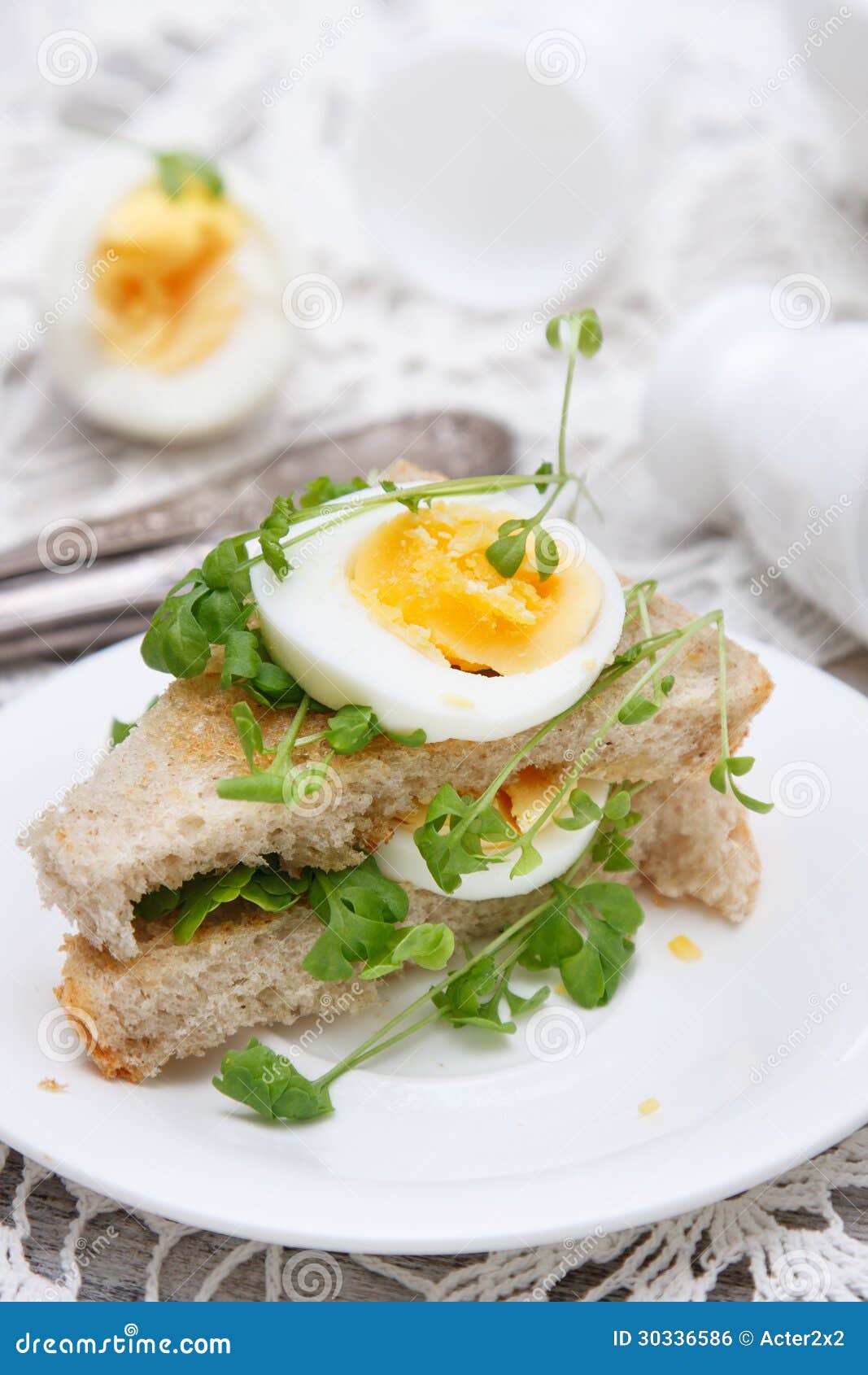 Sandwich with Egg and Cress Stock Photo - Image of germinated, salad ...
