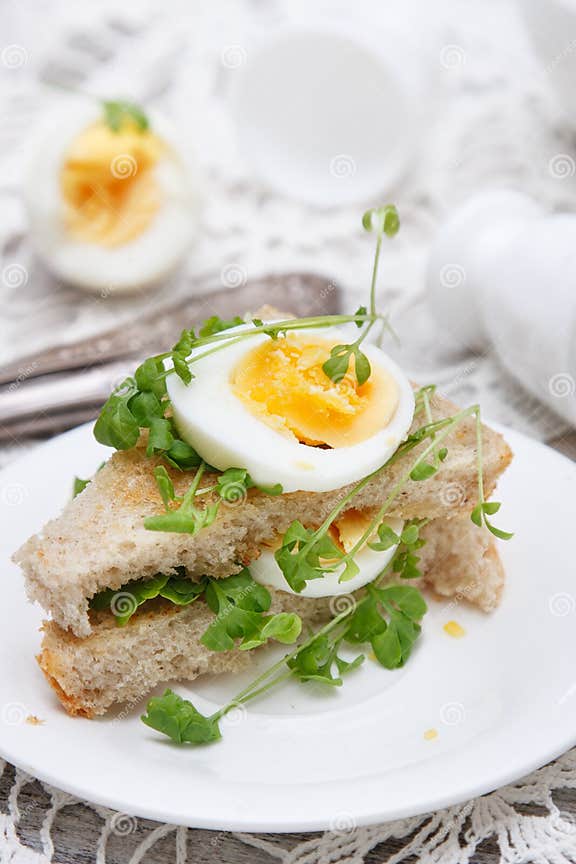 Sandwich with Egg and Cress Stock Photo - Image of germinated, salad ...