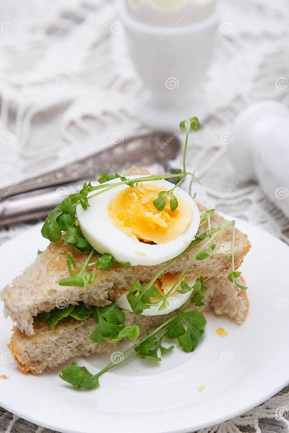 Sandwich with Egg and Cress Stock Photo - Image of lunch, healthy: 30336832