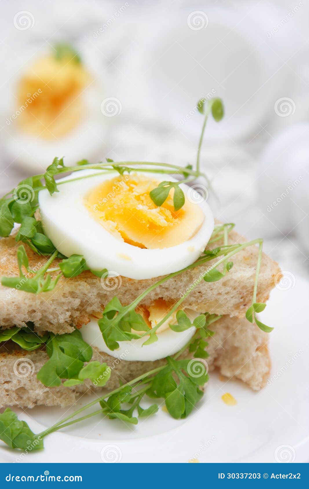 Sandwich with Egg and Cress Stock Image - Image of breakfast, life ...