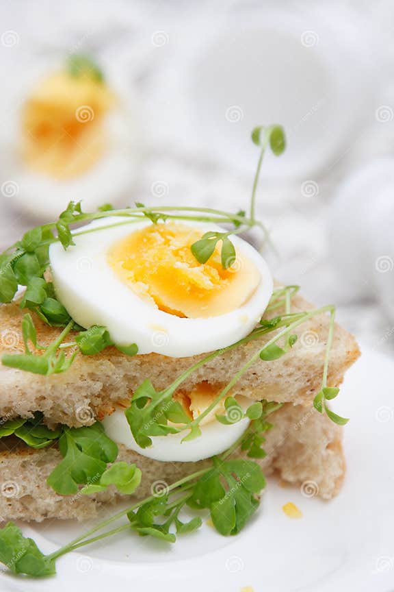 Sandwich with Egg and Cress Stock Image - Image of breakfast, life ...