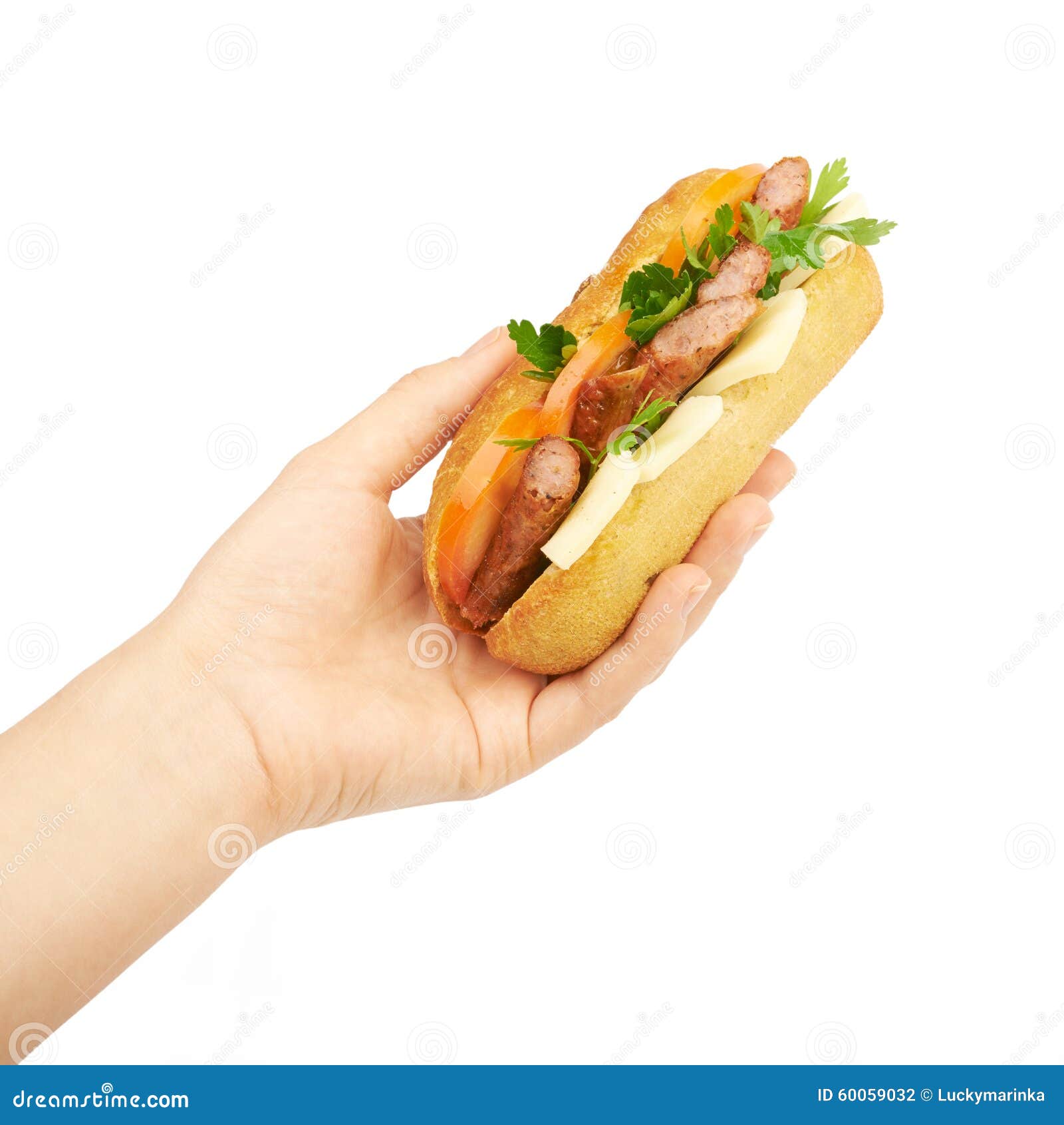 Sandwich in hand stock photo. Image of lunch, breakfast - 60059032