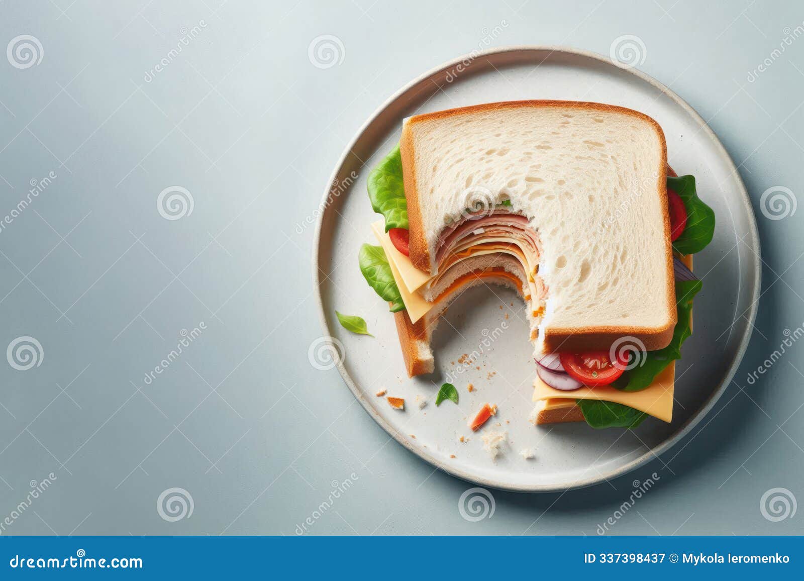 A Sandwich Left on the Plate, Uneaten Food. Space for Text. Stock Image ...