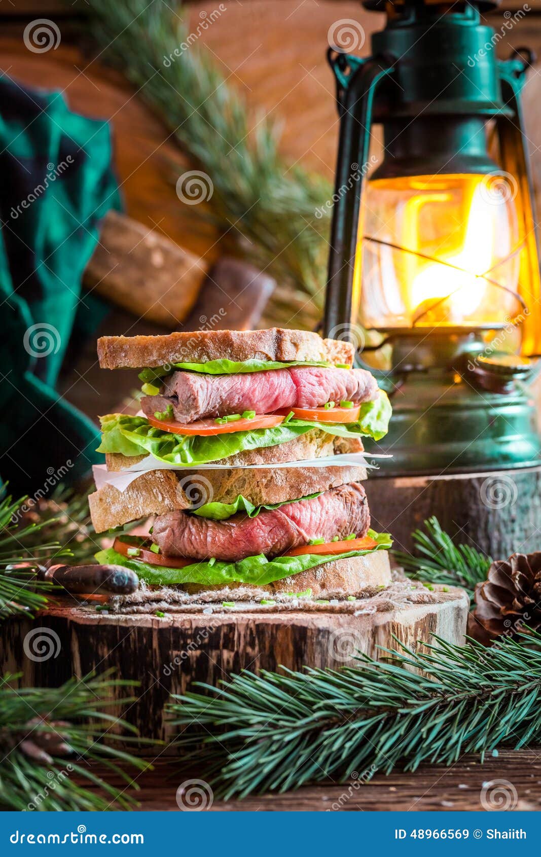 Sandwich with Meat and Vegetables for Lumberjack Stock Image - Image of ...