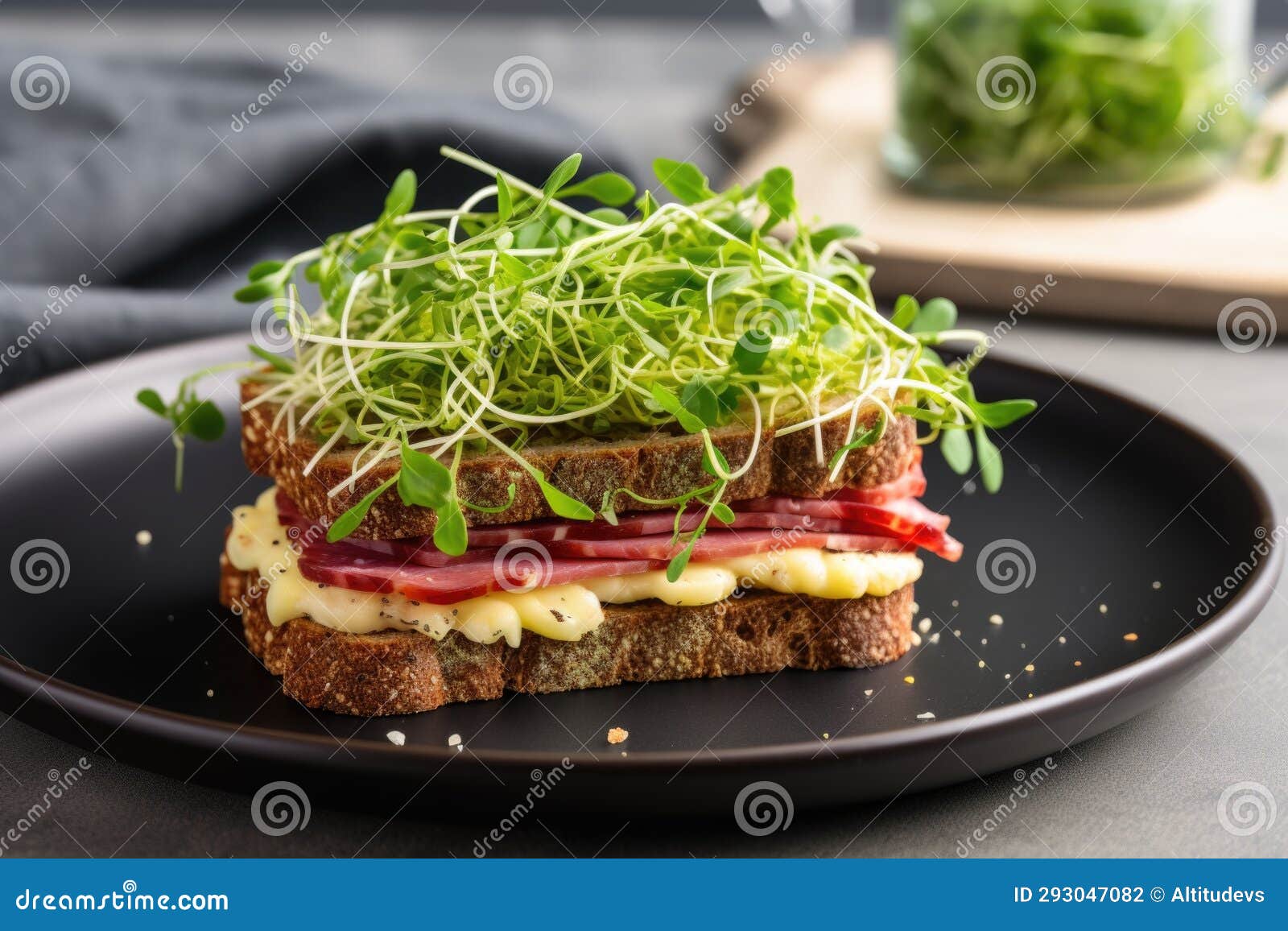 Sandwich with Microgreens and Salami on a Grey Plate Stock Photo ...