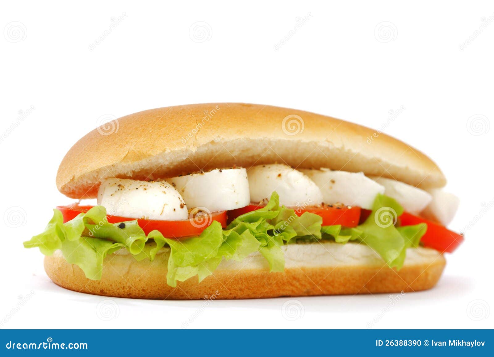 Sandwich with mozzarella stock photo. Image of filoncino - 26388390