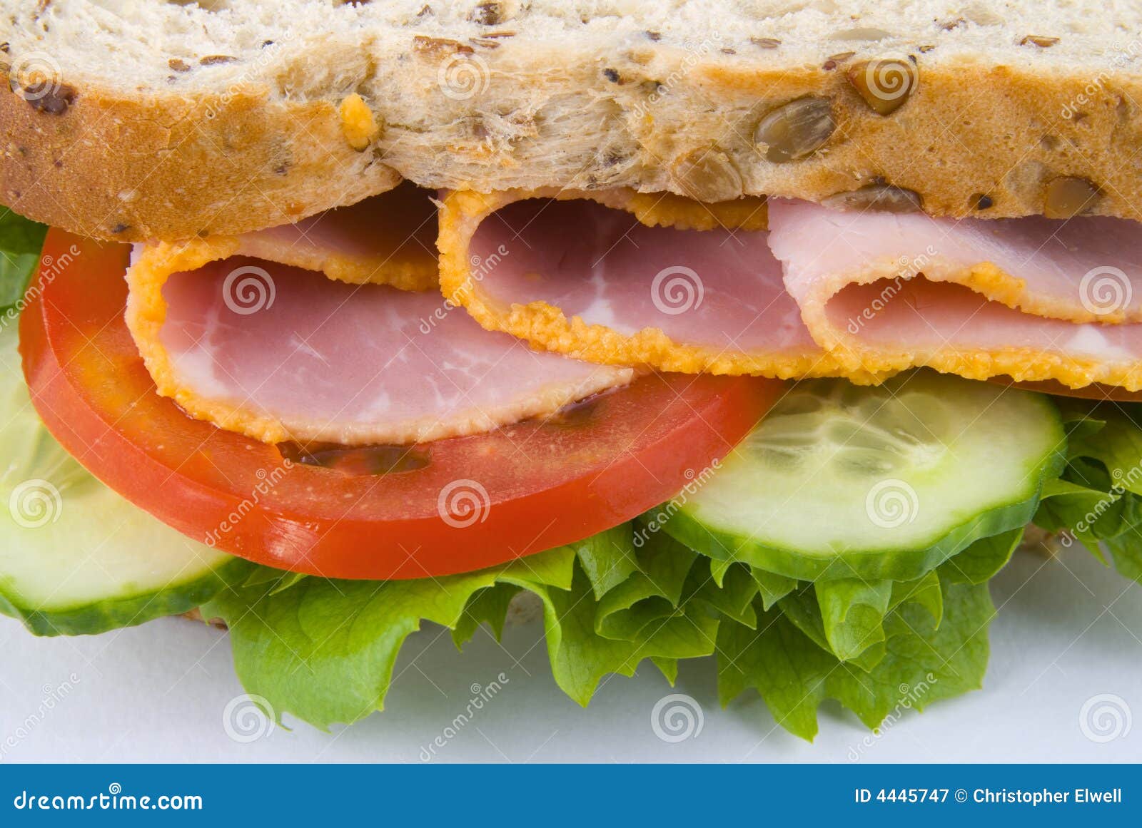 Sandwich Section stock image. Image of tomato, close, lettuce - 4445747