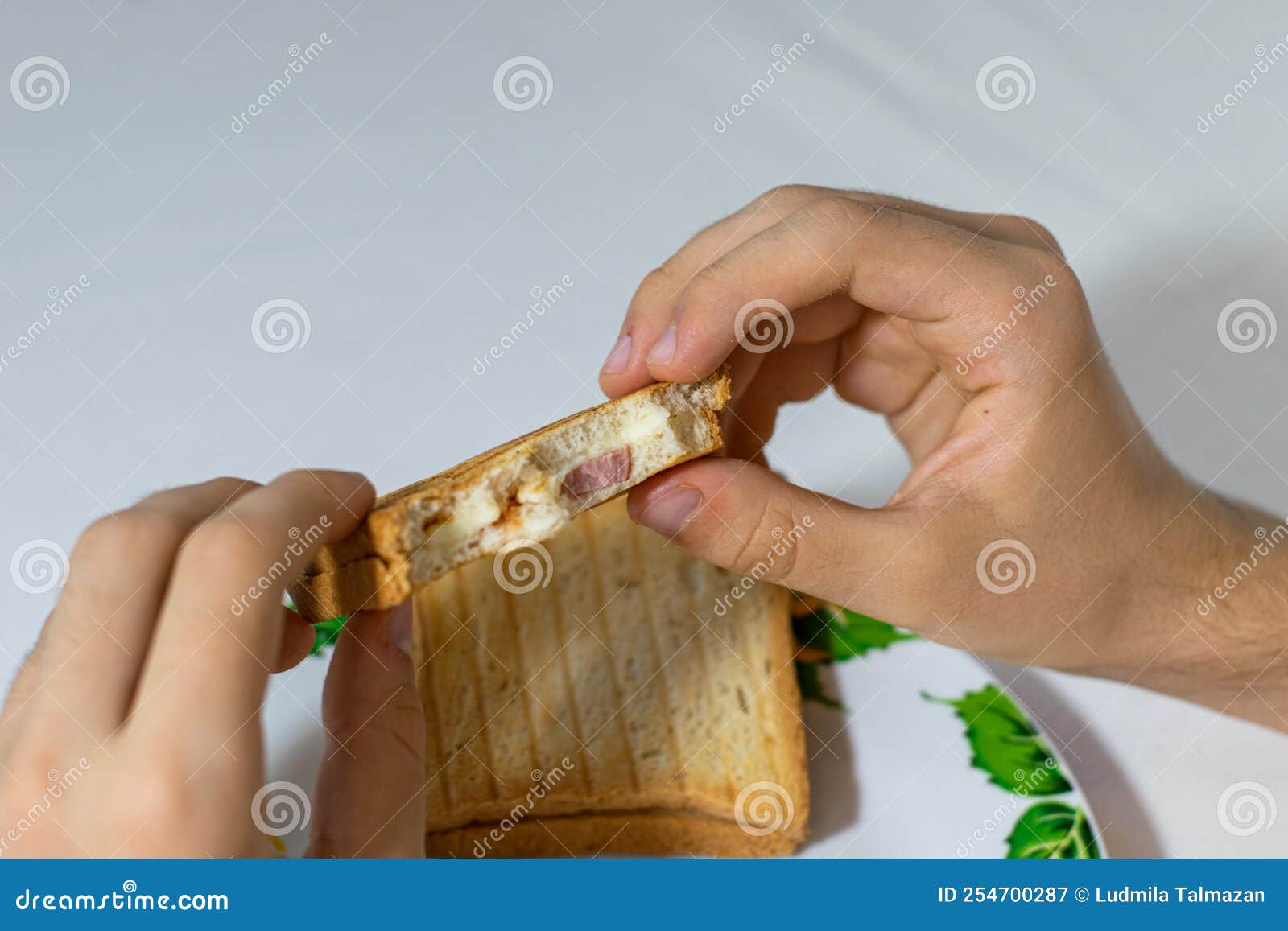 Two Hands Hold a Bitten Sandwich Stock Image - Image of hunger, snack ...