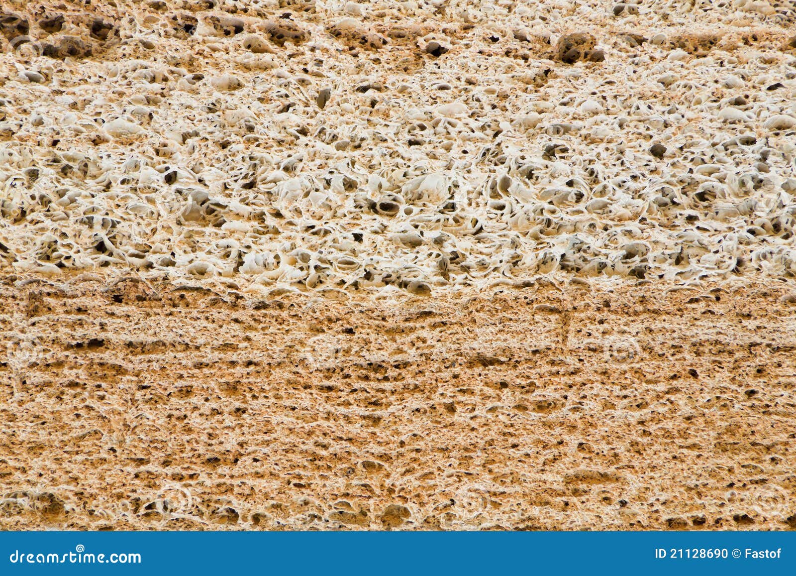 Sandwich from a shell rock stock photo. Image of background - 21128690