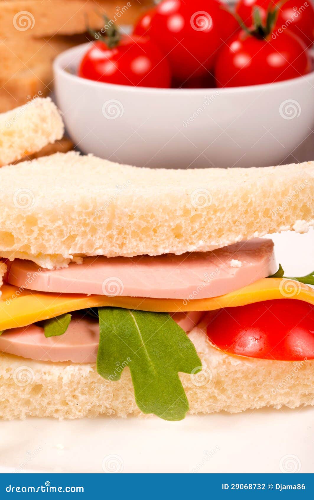 Sandwich time stock photo. Image of dairy, lunch, closeup - 29068732