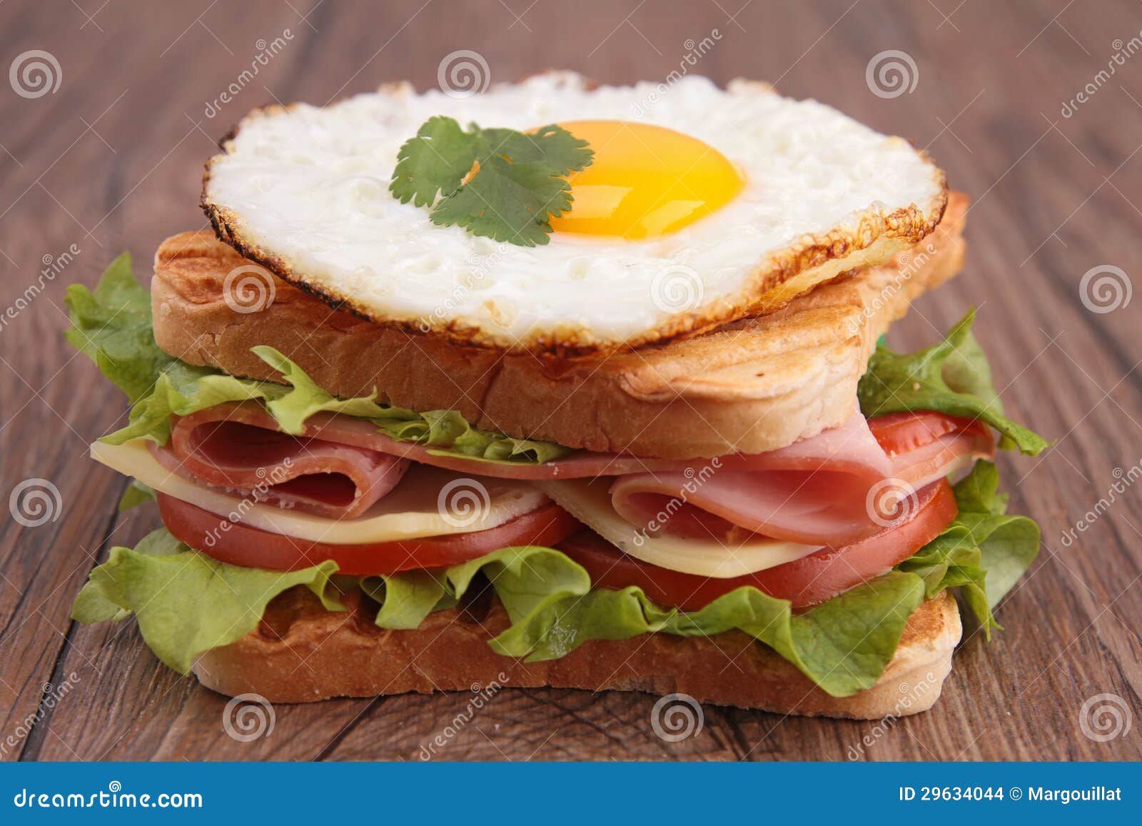 Sandwich toast stock photo. Image of wood, lettuce, toasted - 29634044