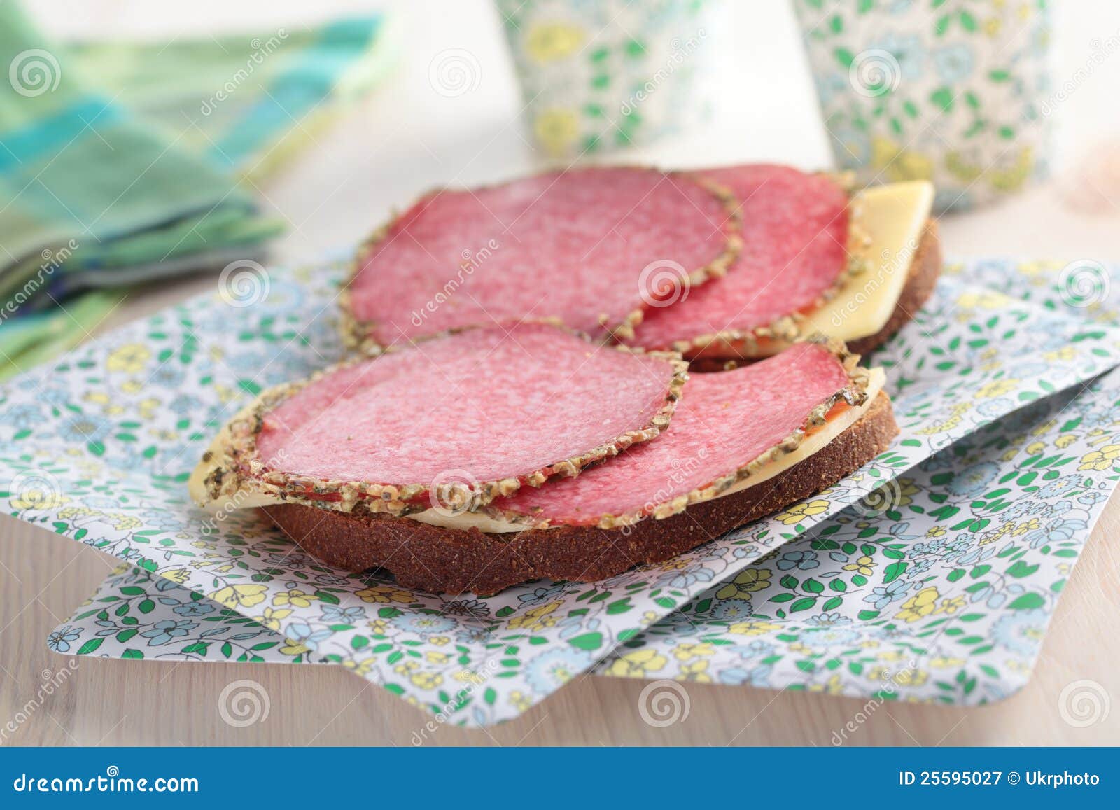 Sandwiches on a Paper Plate Stock Image - Image of slices, plate: 25595027