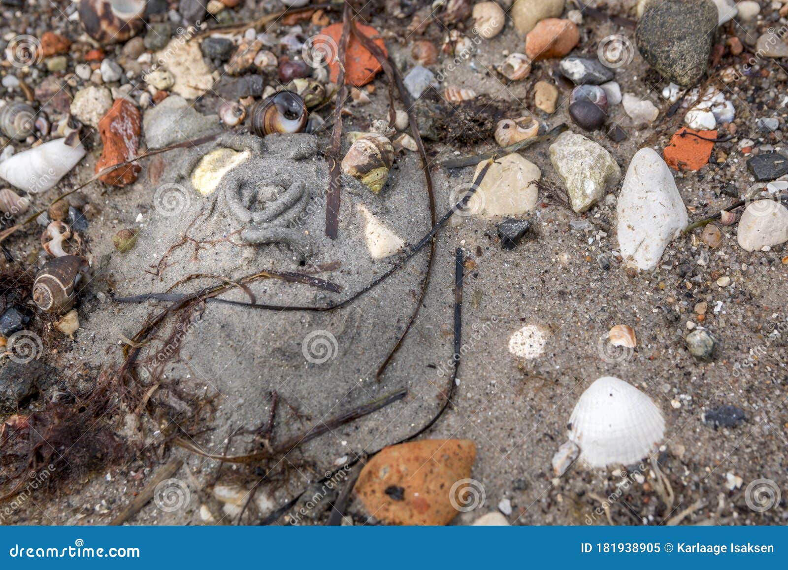 Sandworm Hole on a Danish Beach Stock Image - Image of land, rural ...