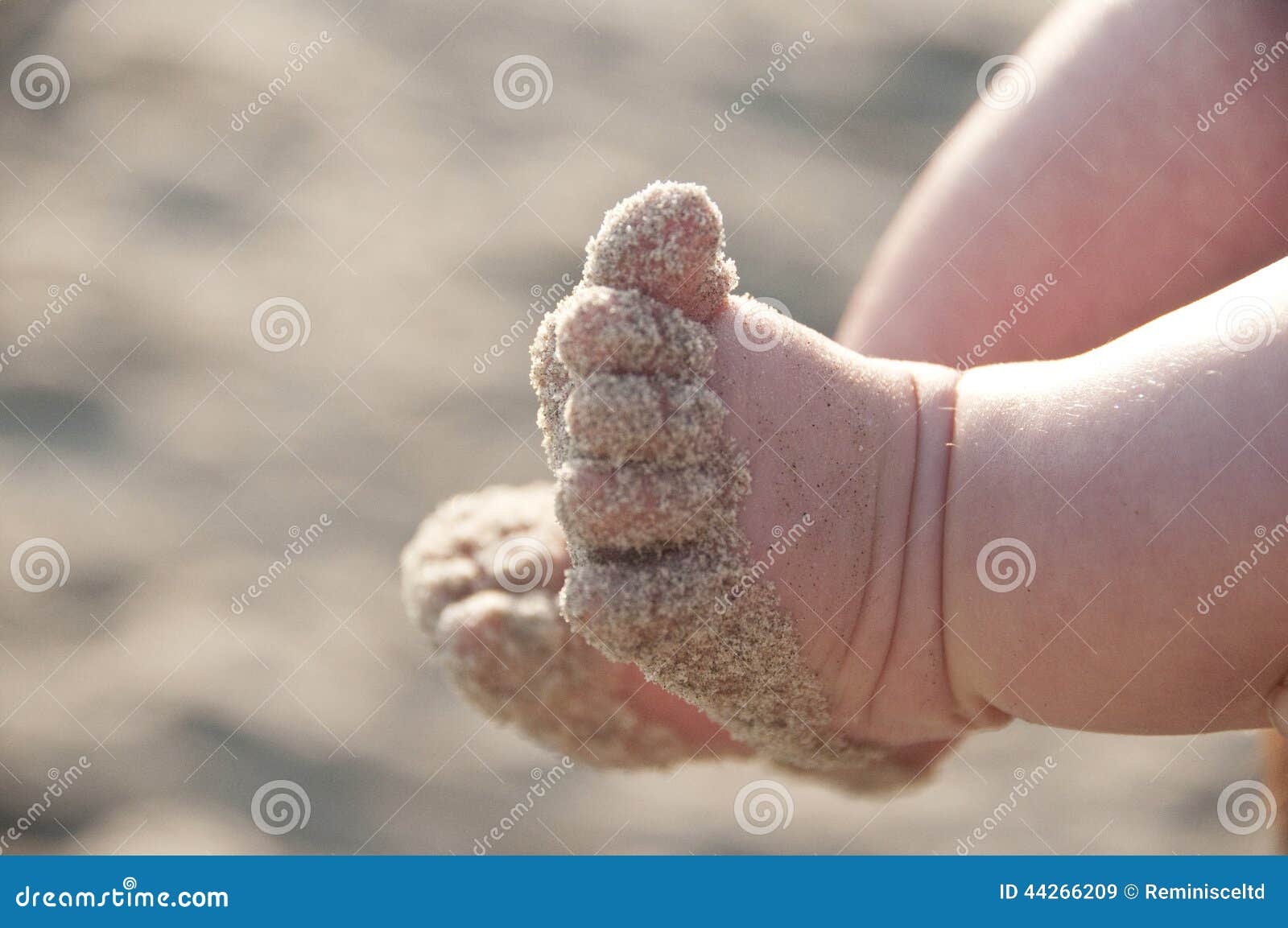 Sandy baby feet stock image. Image of small, toes, cute - 44266209