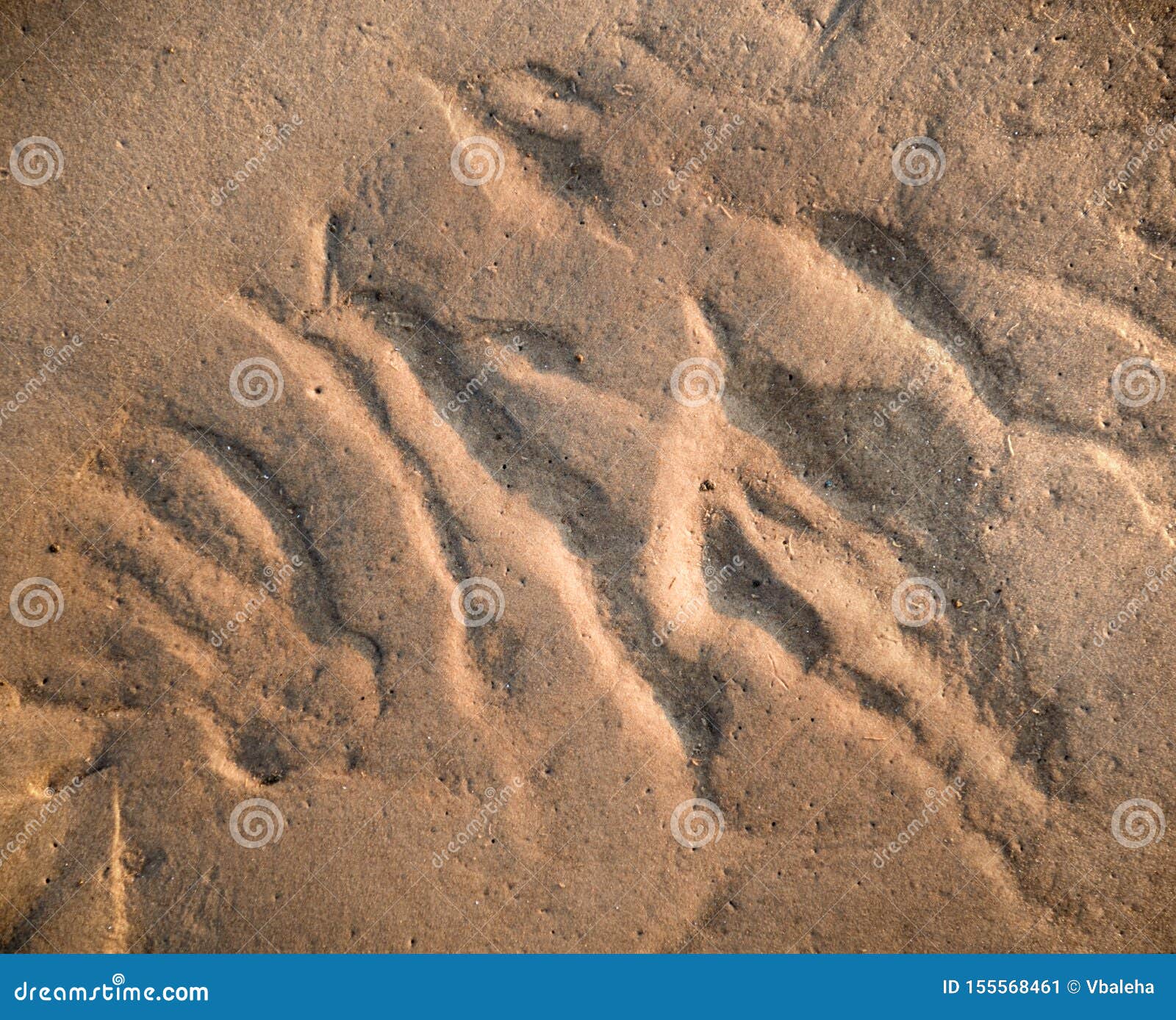 Sandy Backdrop Ready for Design Stock Image - Image of shore, exotic ...
