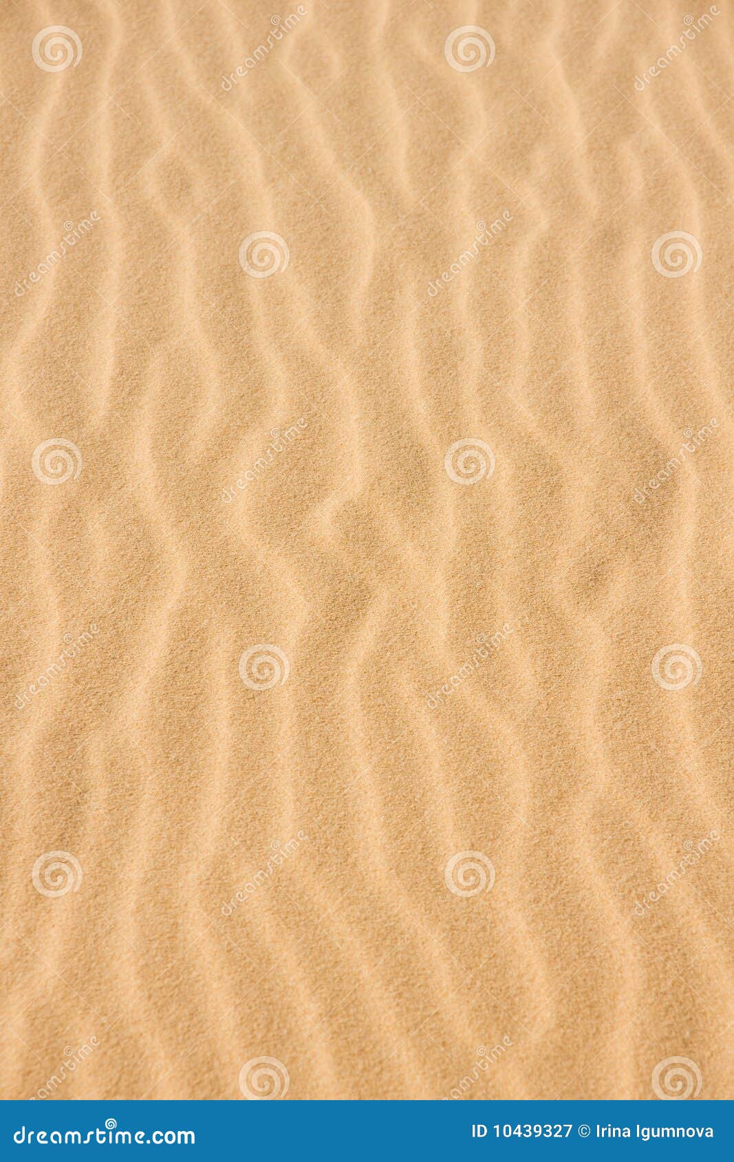 Sandy background stock image. Image of wind, land, yellow - 10439327