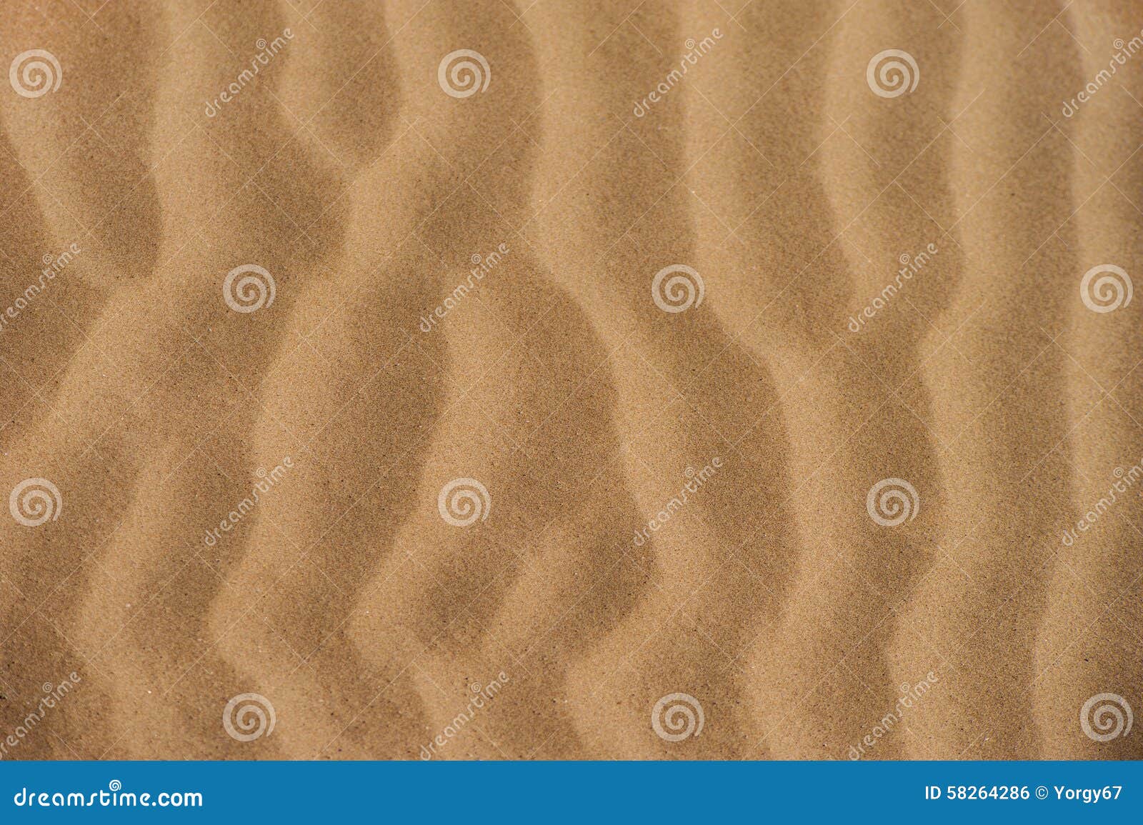 Sandy Background stock photo. Image of grain, summer - 58264286