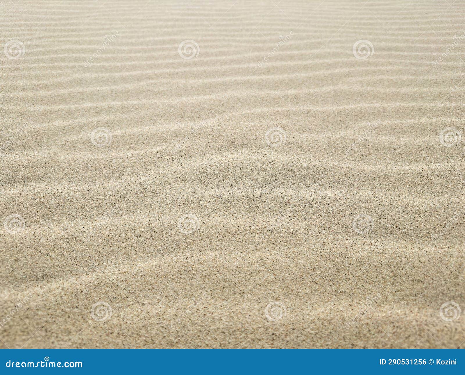 Sandy backround stock photo. Image of blur, resort, vacation - 290531256