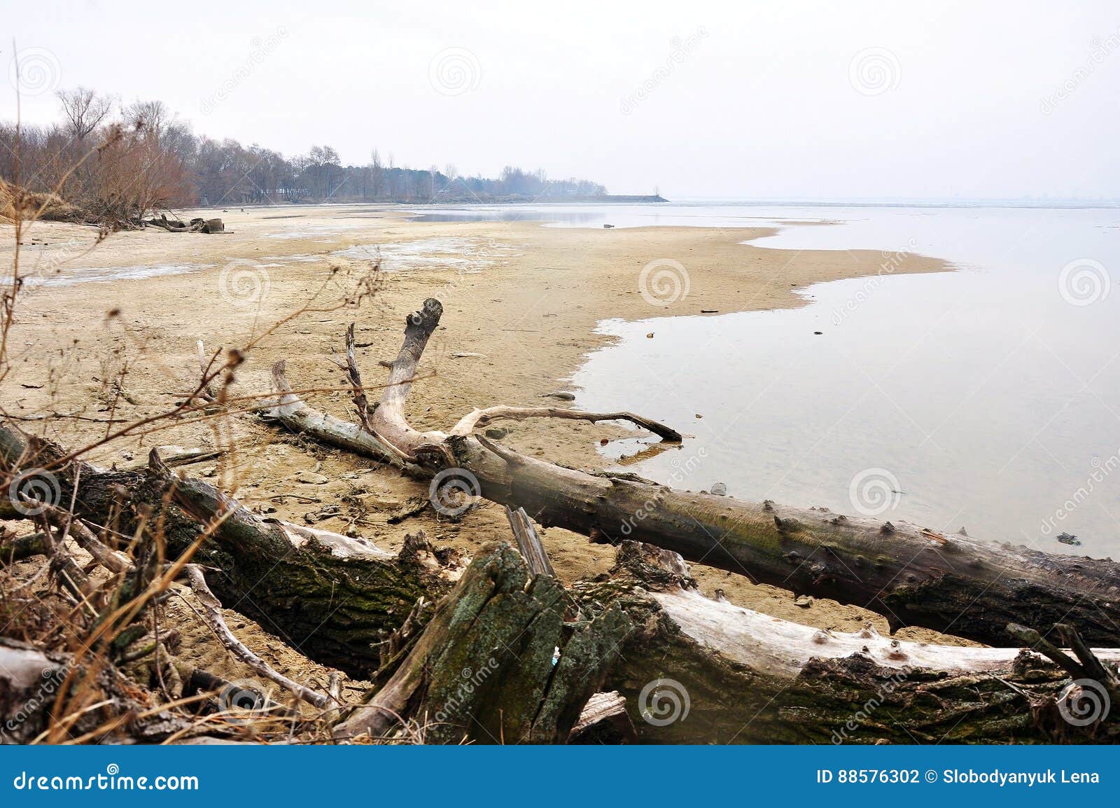 Sandy bank stock photo. Image of beautiful, park, early - 88576302