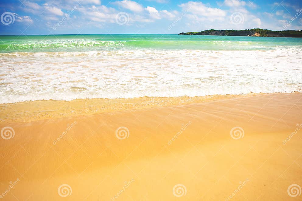 Sandy beach stock photo. Image of beauty, paradise, beach - 12162468