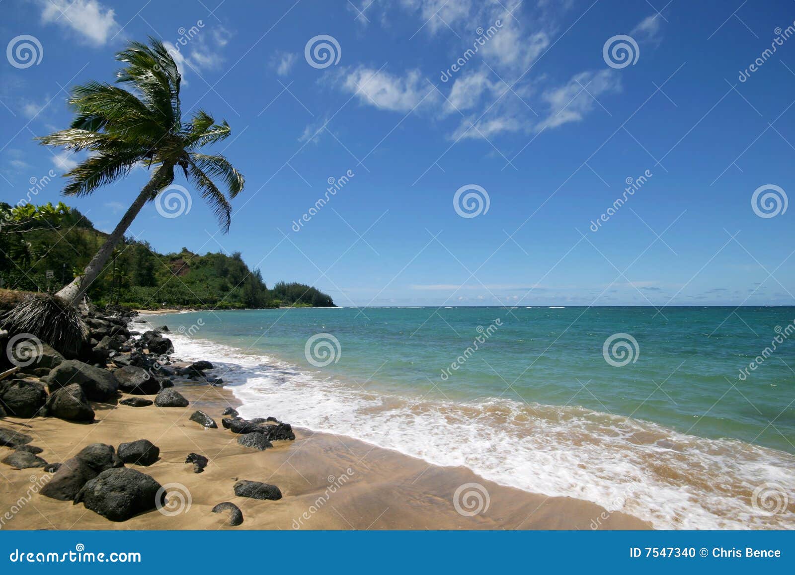 Sandy Beach stock photo. Image of summer, scenics, outdoors - 7547340
