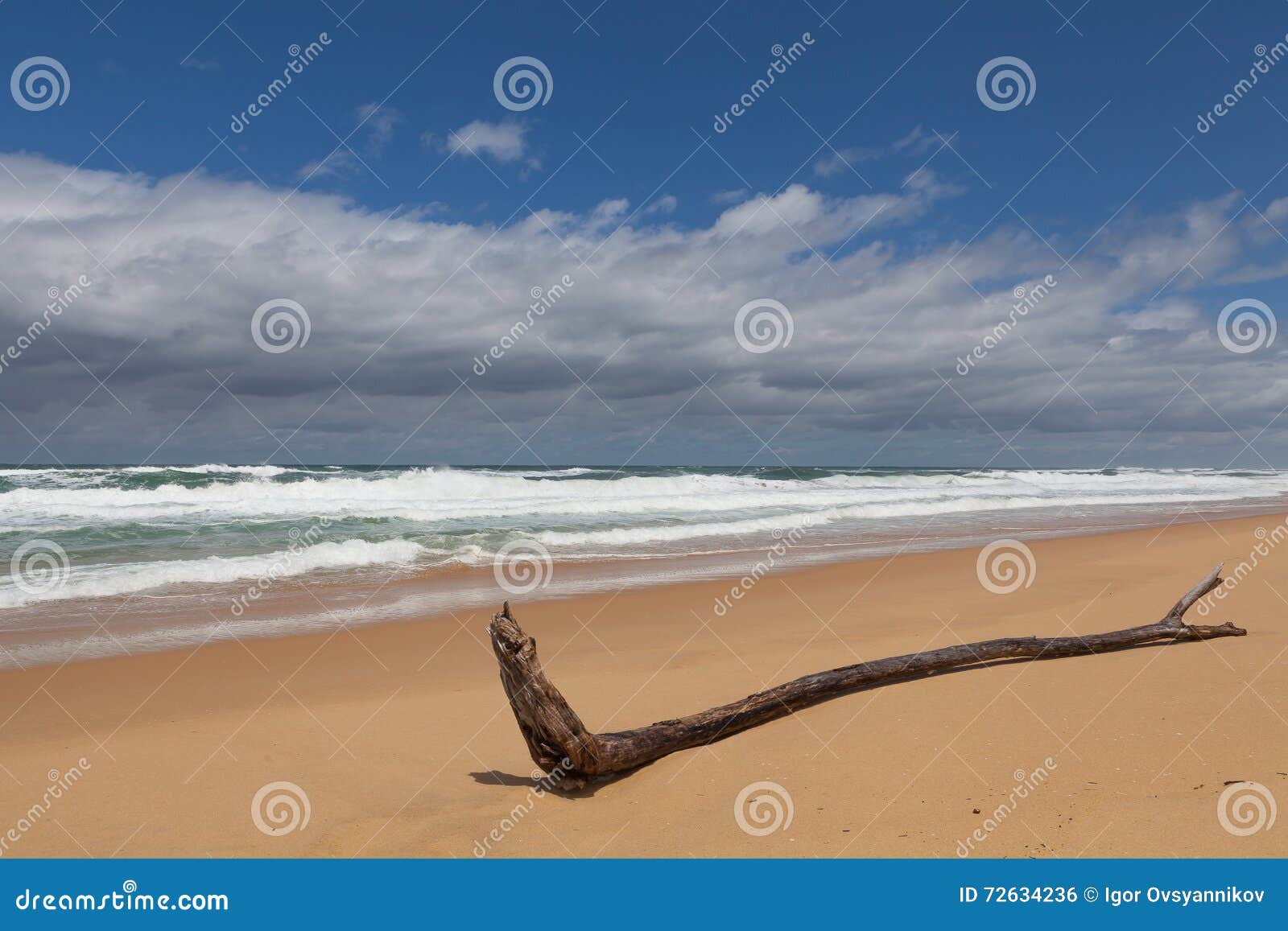Sandy beach, Australia stock photo. Image of ocean, tranquil - 72634236