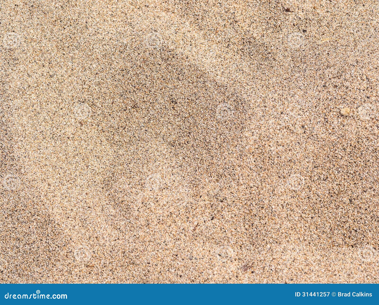Sandy beach background stock image. Image of background - 31441257