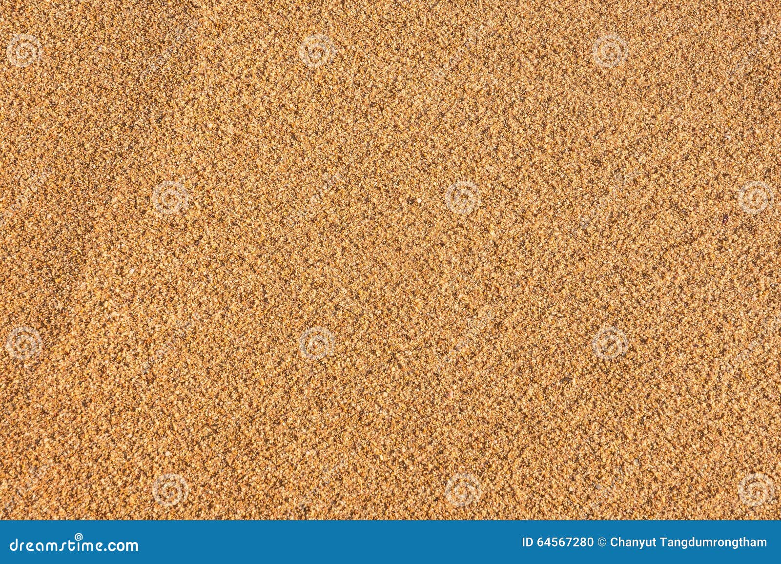 Sandy Beach Background and Detailed Sand Texture. Stock Photo - Image ...