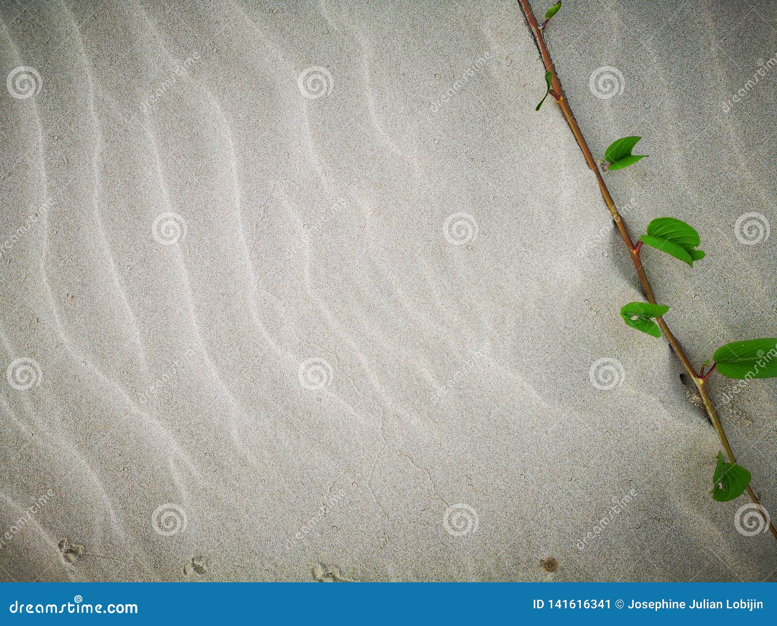 Sandy Background for Frame Texture Design. Stock Image - Image of ...
