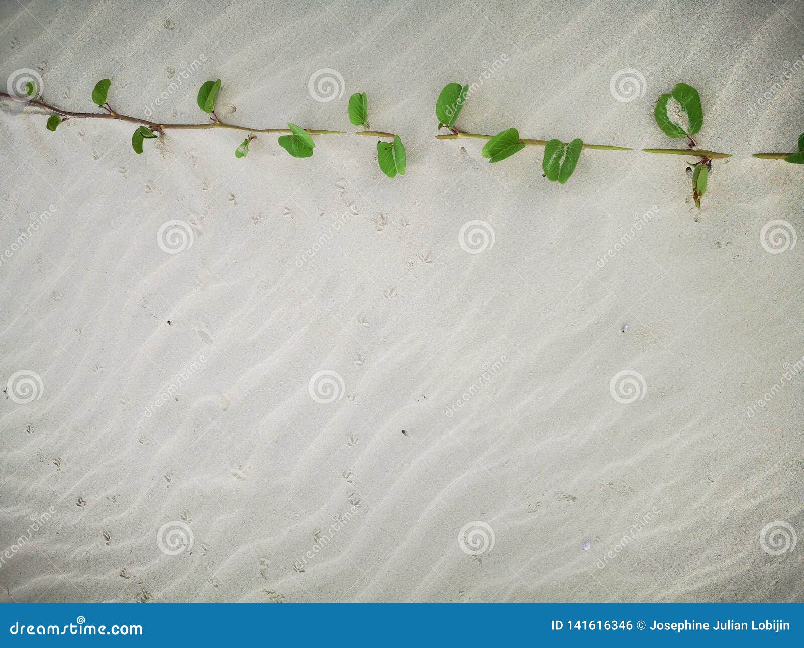 Sandy Background for Frame Texture Design. Stock Photo - Image of ...
