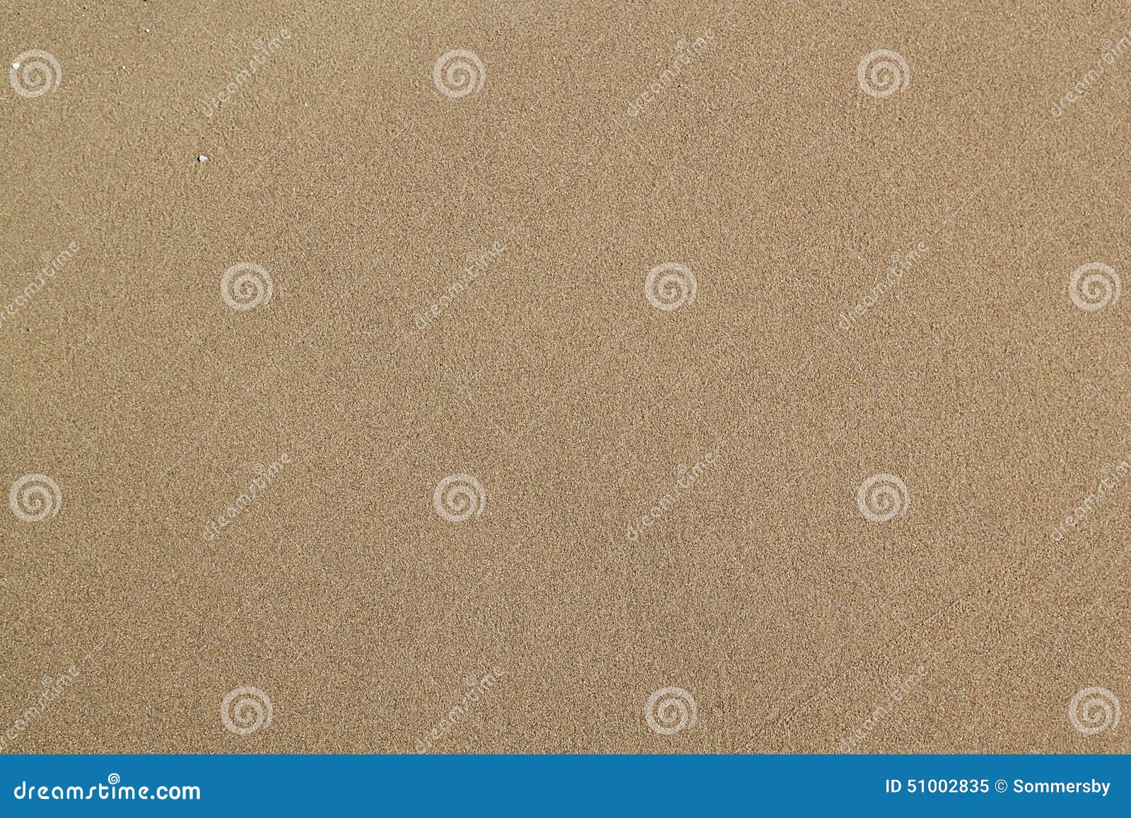 Texture Of Beach Sand. Vector Illustration With Top View On Realistic ...