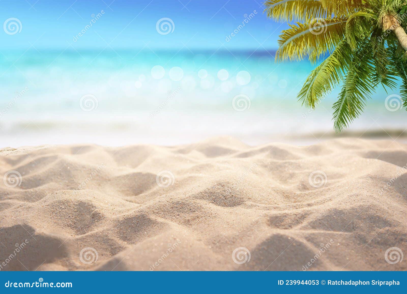 Sandy Beach with Blurry Blue Ocean and Palm Tree Stock Image - Image of ...