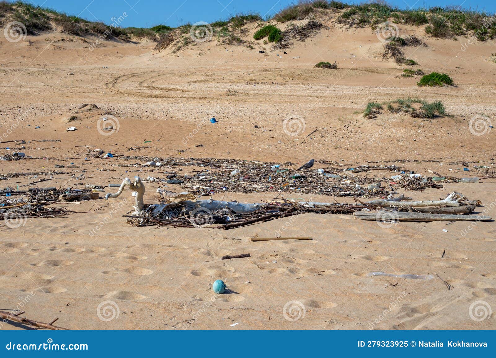 Sandy Beach with Debris Carried by the Wave. Ocean Pollution Stock ...