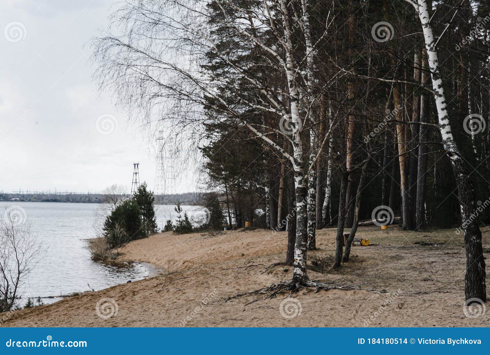 Sandy Beach in the Forest Skyline. Stock Photo - Image of forrest ...