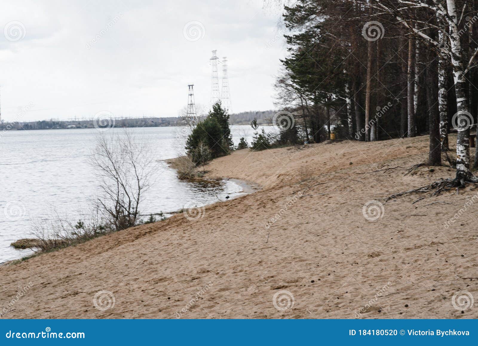 Sandy Beach in the Forest Skyline. Stock Photo - Image of natural ...