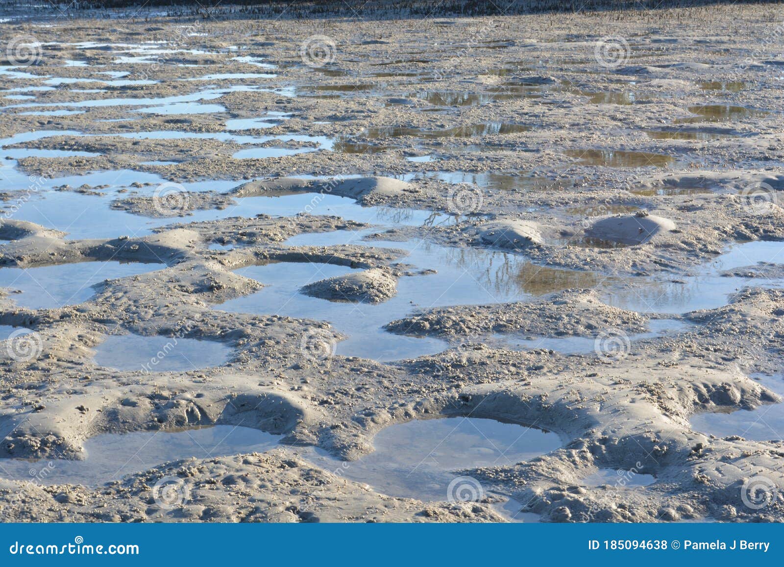 A Sandy Beach at Low Tide with Pools of Water Stock Photo - Image of ...