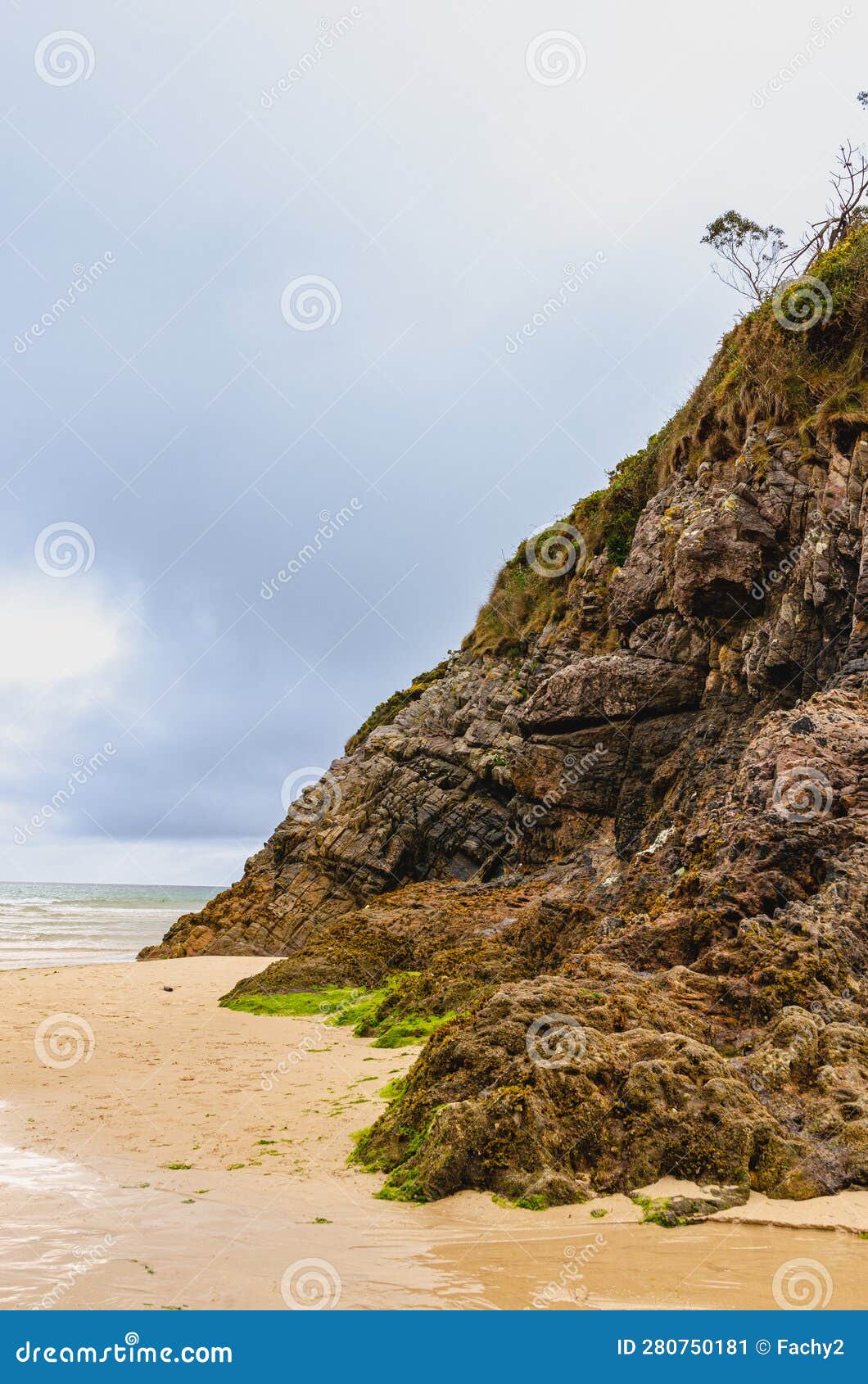 Sandy Beach with a Majestic Rock Side. Stock Image - Image of tree ...