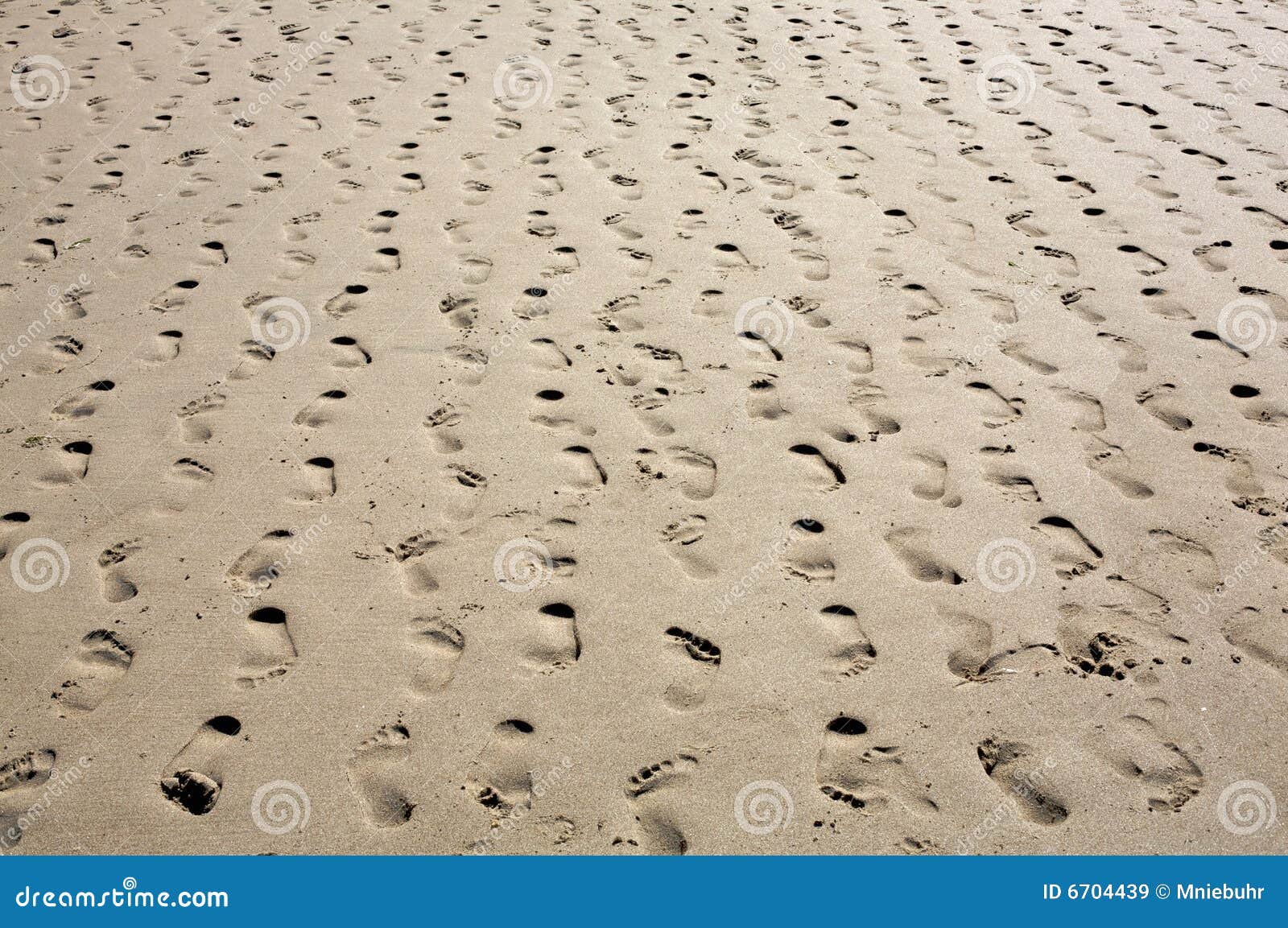 Multiple Footprints In The Sand Desert. Footprints Are Of Shoes, Boots ...