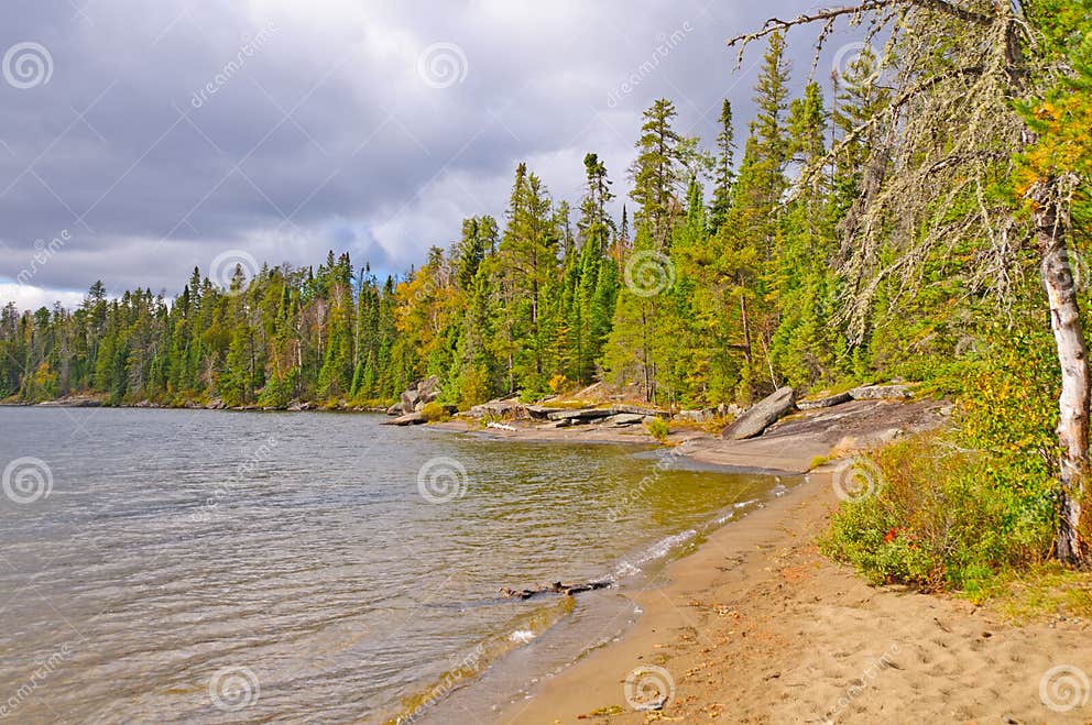 Sandy Beach on a North Woods Lake Stock Photo - Image of tuscarora ...