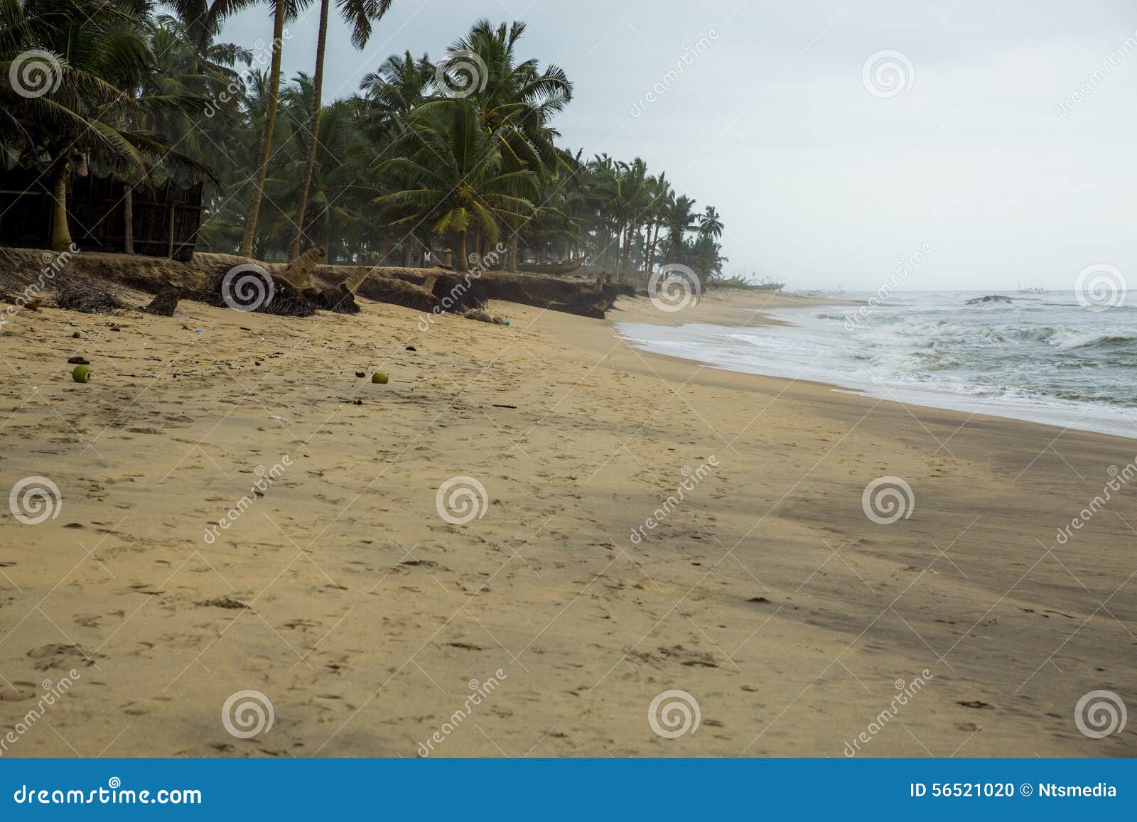 Sandy Beach at the Ocean Shore Stock Photo - Image of equator ...