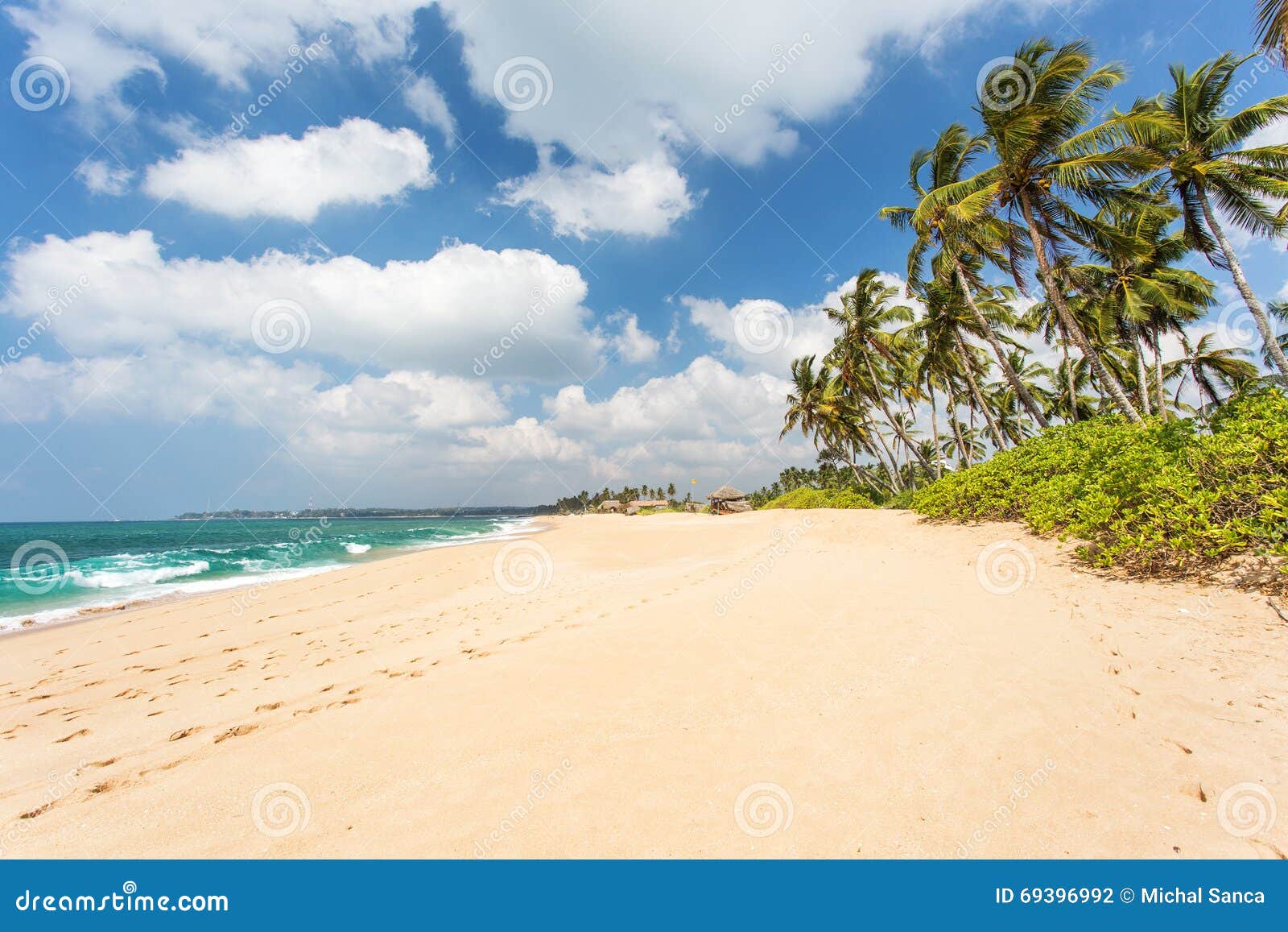 Sandy Beach with Palm Trees Stock Photo - Image of australia, resort ...