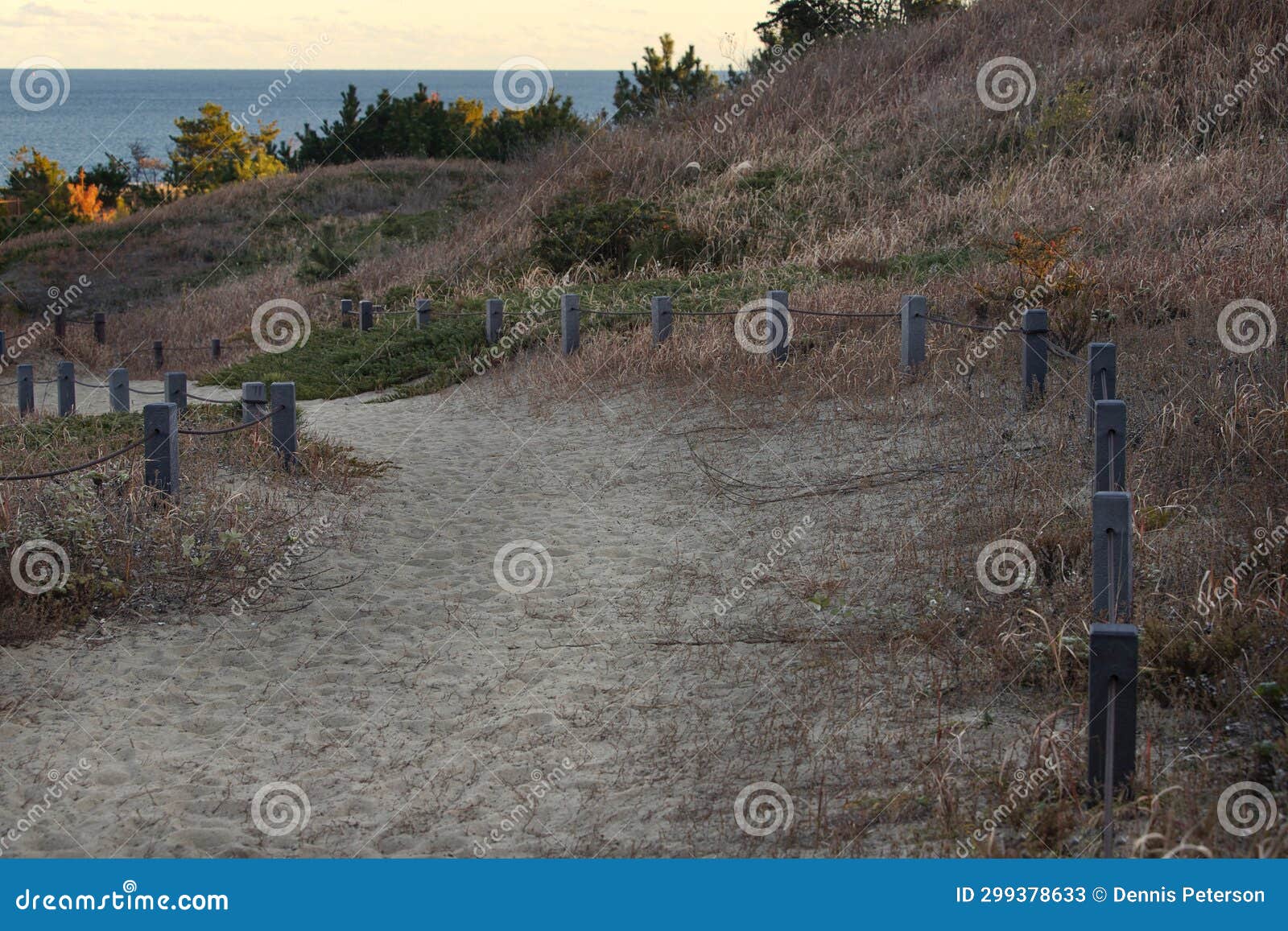 A beach path to the sea stock image. Image of shore - 299378633