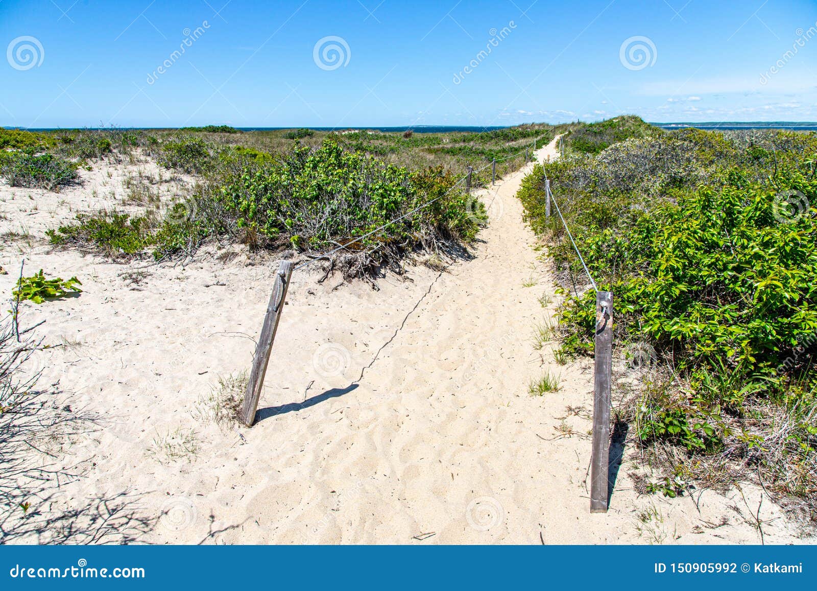 Sandy Beach Path To the Ocean Stock Photo - Image of horizon, sand ...