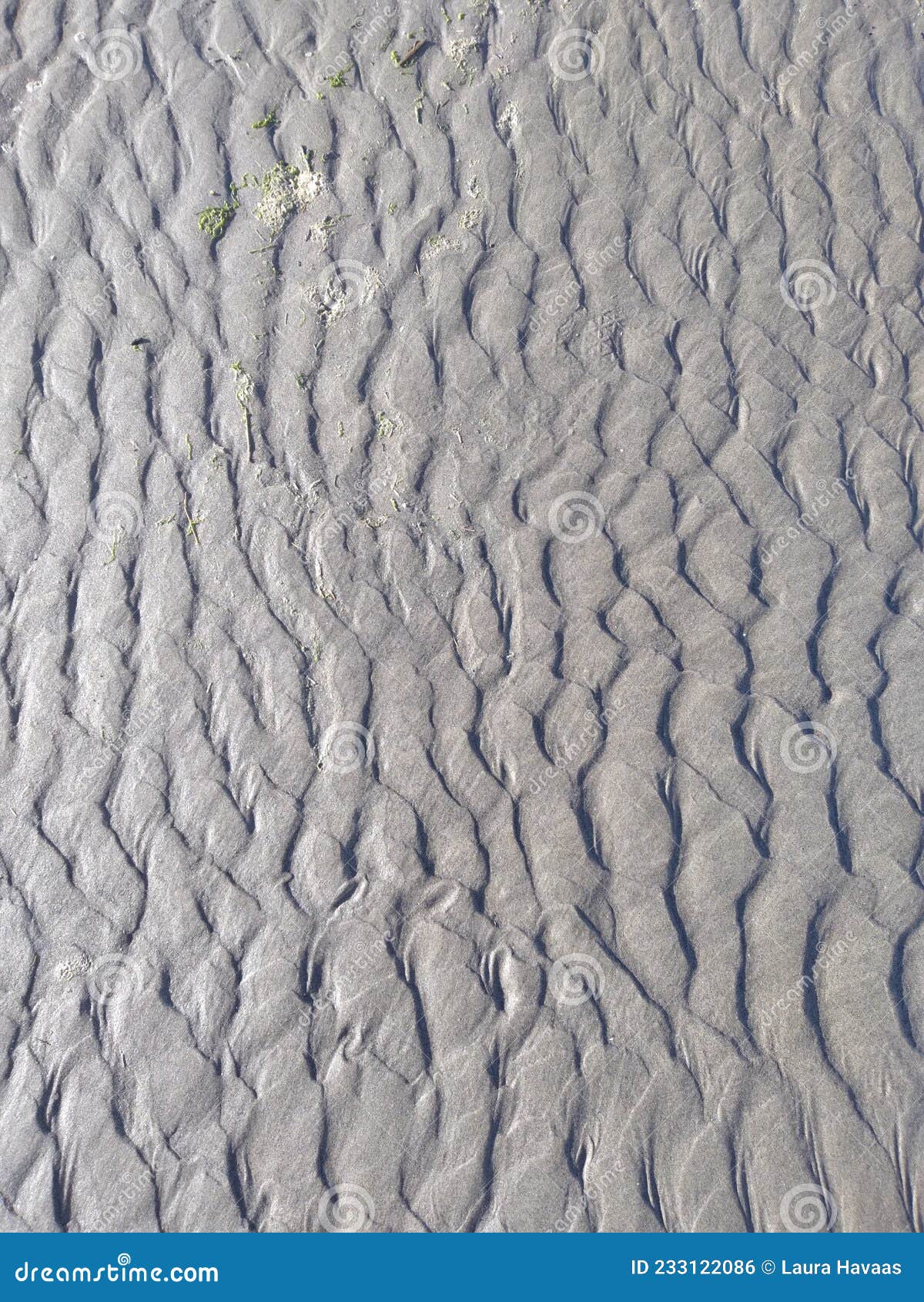 Sandy Beach Patterns 8 stock photo. Image of patterns - 233122086