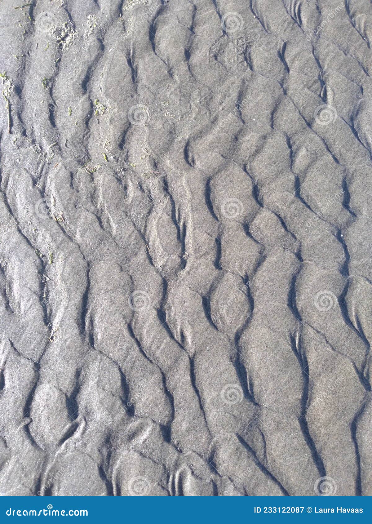 Beach Patterns Royalty-Free Stock Photography | CartoonDealer.com #91505387
