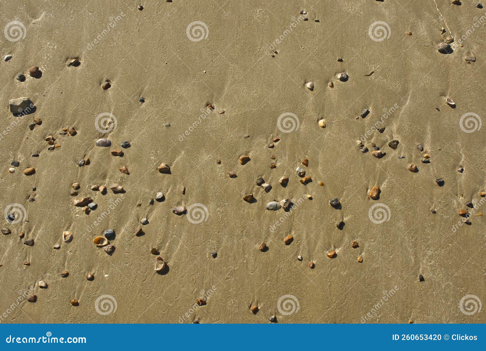 Sandy beach with pebbles stock photo. Image of texture - 260653420