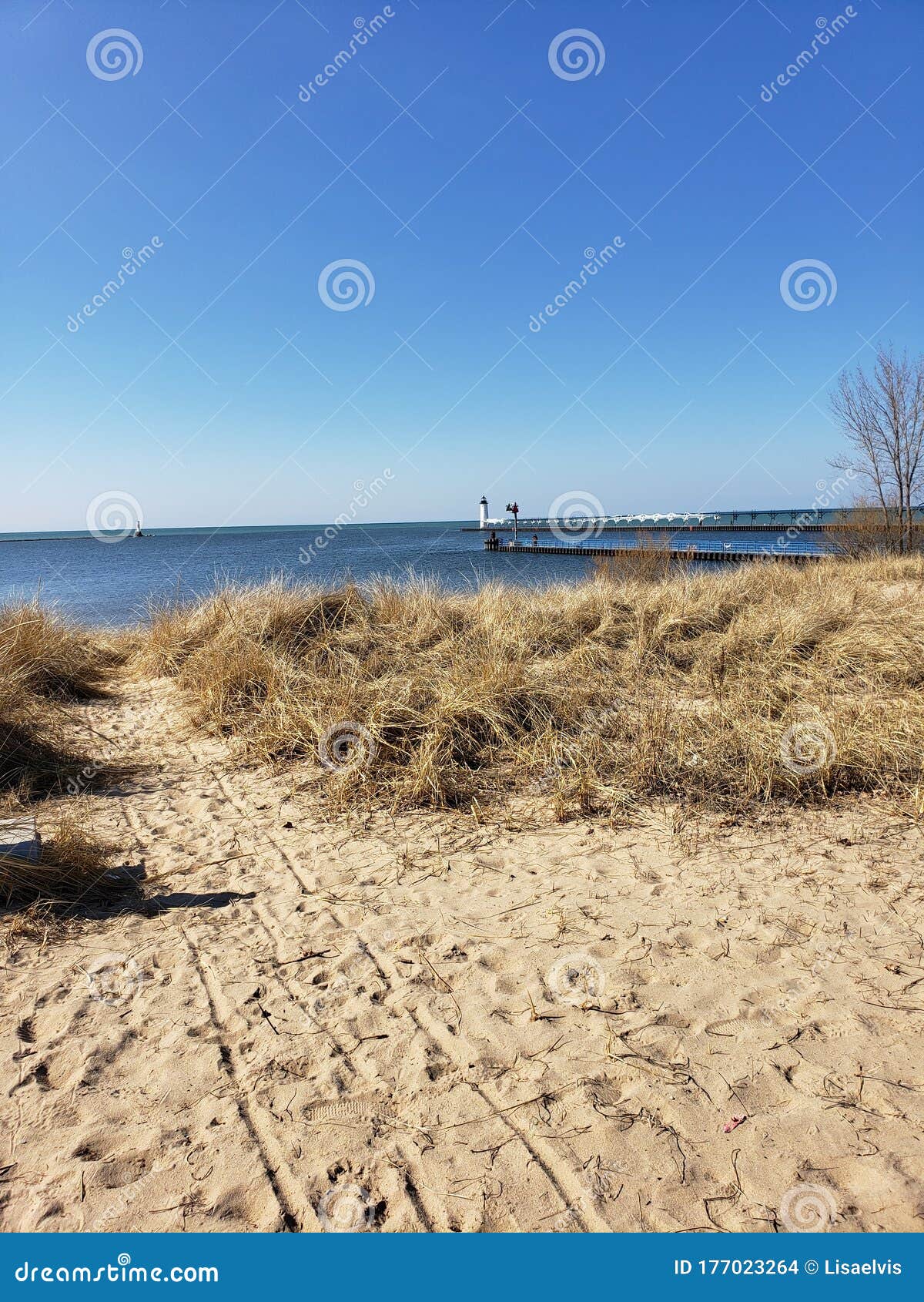 Sandy beach at the pier stock photo. Image of sandy - 177023264