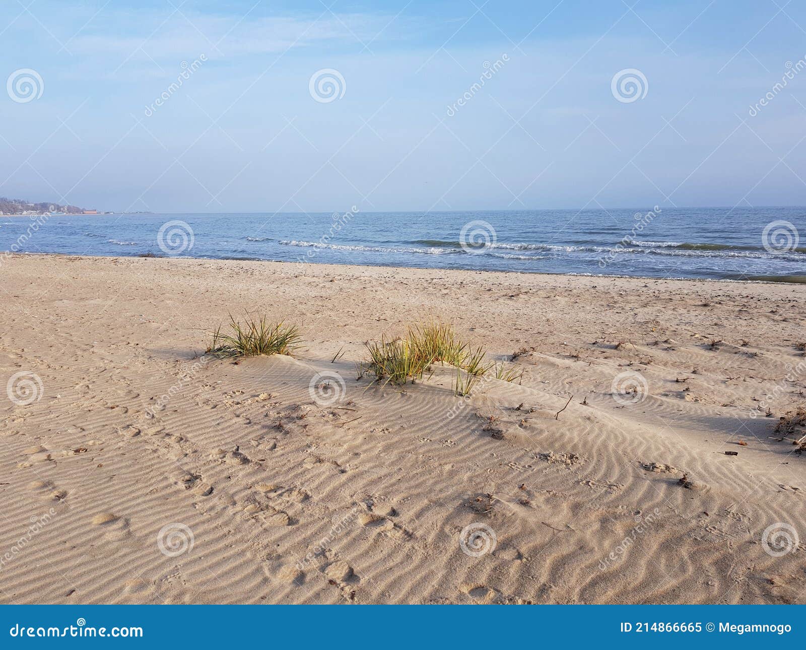 Sandy Beach with Reed Grass. Blue Sea and Sky Stock Image - Image of ...