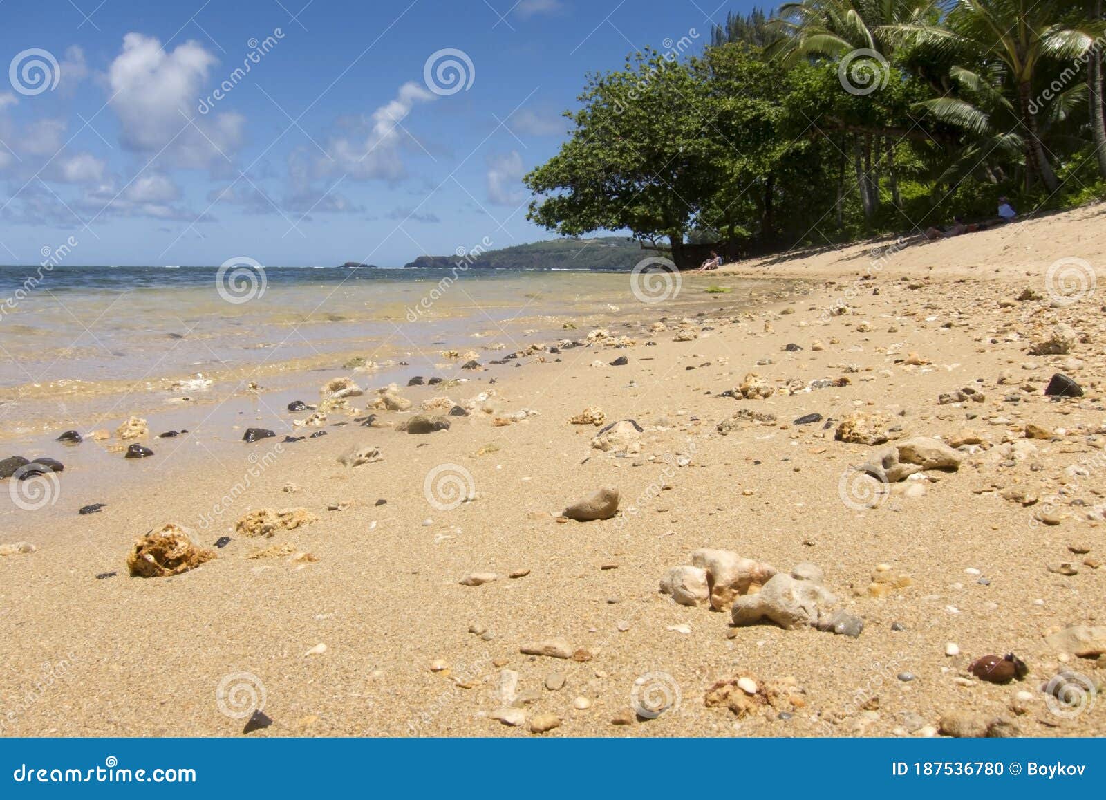 Sandy Beach, Rocks and Shells in Hawaii Stock Photo - Image of ...