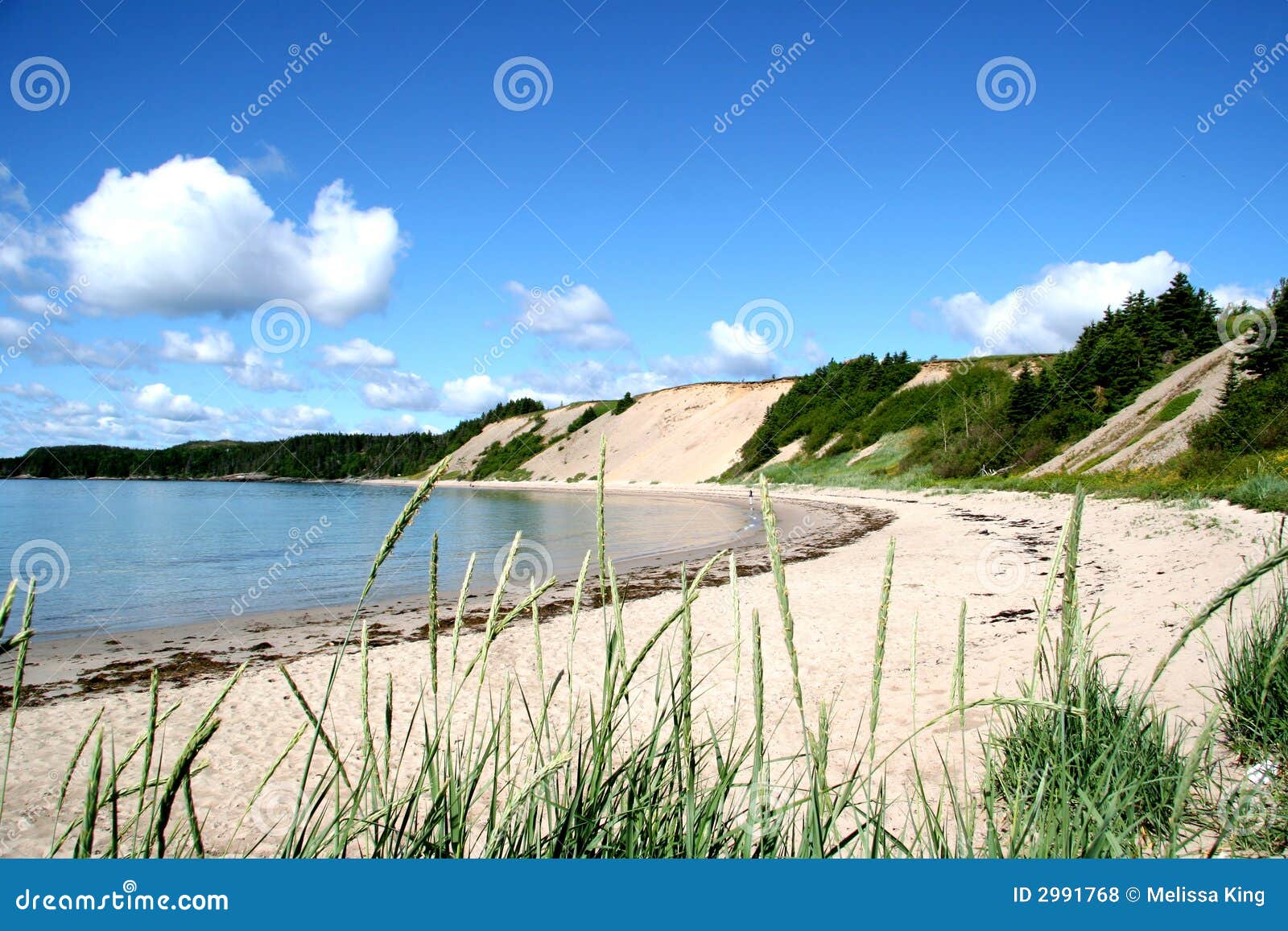 Sandy Beach in Rural Newfoundl Stock Photo - Image of newfoundland ...